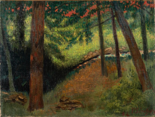 Ruisseau en sous bois - Comité Sérusier